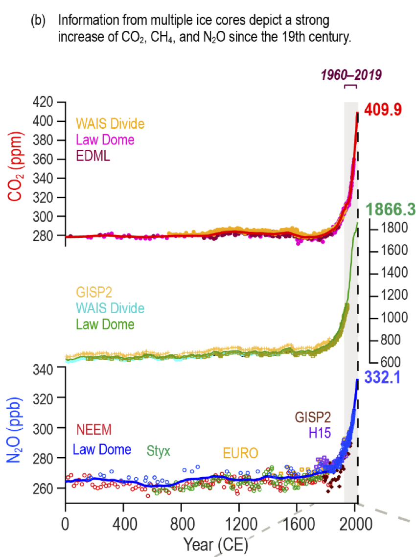 Co2 Response Curve Human